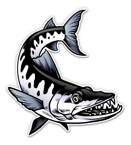 Amazon.com: Muskie Fish Fishing - 5" Vinyl Sticker - for Car Laptop I ...