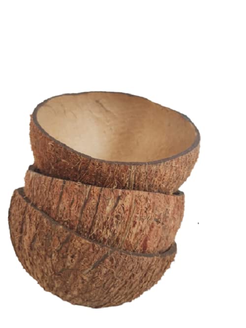 Buy Raw Coconut Shell (Fully Cleaned, Pack of 10) Online at Low Prices ...