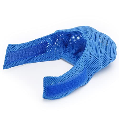Cat Muzzle – The 15 best products compared - Wild Explained