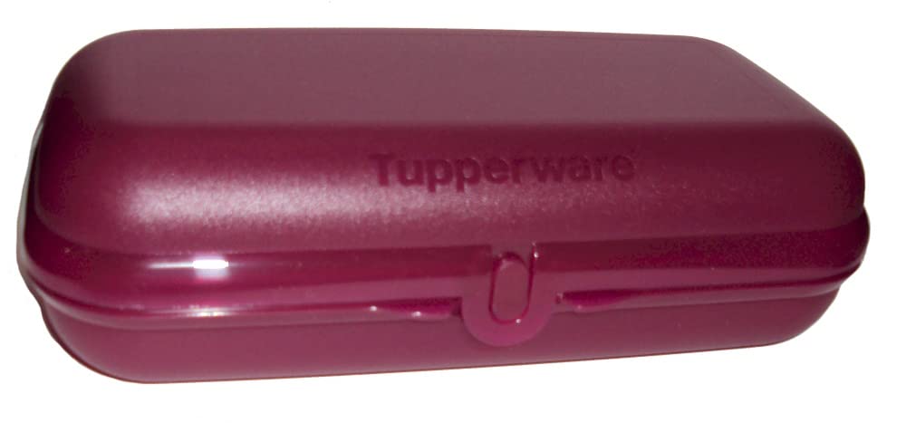 Tupperware Sub Sandwich Hoagy Rectangular Sandwich Keeper, Purple ...