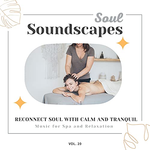 Amazon.com: Soul Soundscapes, V20 - Reconnect Soul With Calm And ...