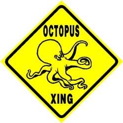 Amazon.com: OCTOPUS CROSSING sign * street aquatic animal : Home & Kitchen