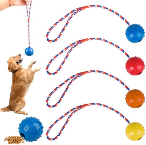 Rdlobu 4Pcs Dog Balls on Rope 5/30cm, Interactive Dog Toy for ...