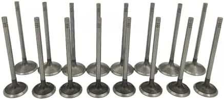 Amazon.com: Lskioer Intake Exhaust Valves, 16Pcs Engine Intake ...