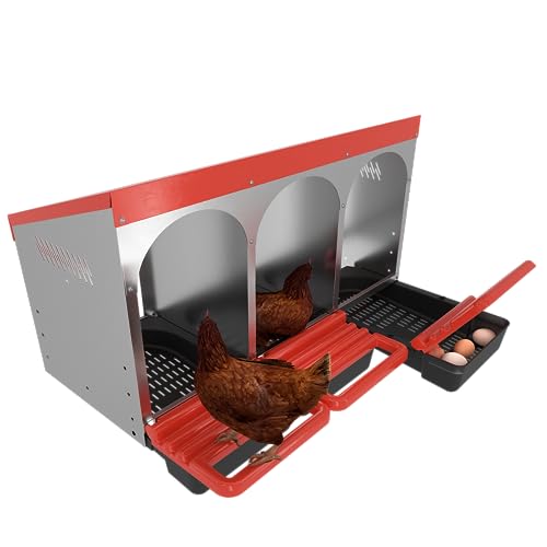 10 Best Hen Nesting Boxes: A Comprehensive Buying Guide for Poultry ...