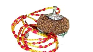 SPIRITUALCART Aaa++ Grade Natural Gowri Shankar Rudraksha Gaurishankar ...