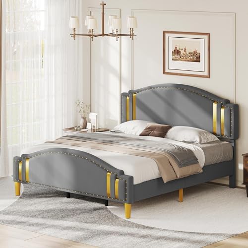 Amazon.com: DWVO Queen Velvet Bed Frame with Adjustable Headboard ...