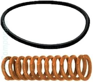 Amazon.com: Spring & O-Ring Seal, Intermediate Accumulator, fits GM ...