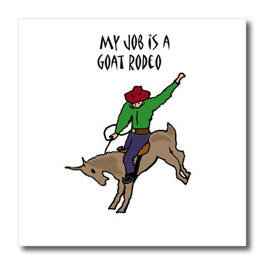 Funny Cartoon Rodeo Pictures