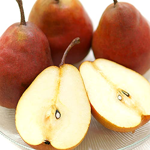 Amazon.co.jp Best Sellers: The most popular items in Fresh Pears
