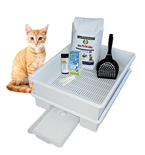 Top 10 Best Litter For Diabetic Cats : Reviews & Buying Guide - Katynel