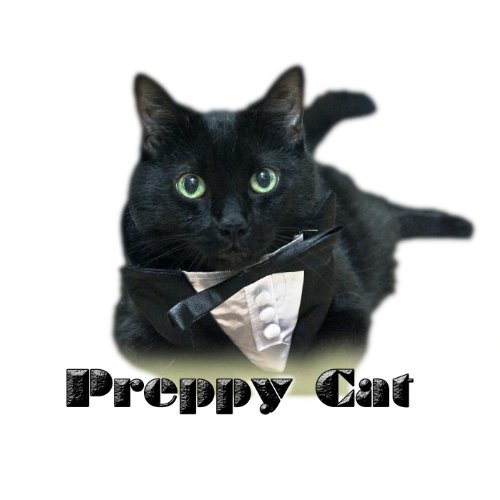 Amazon.com: Preppy Cat : N2 the Talking Cat: Digital Music