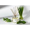 Amazon.com: The Ritz-Carlton Naples Reed Diffuser - Notes of Lemongrass ...