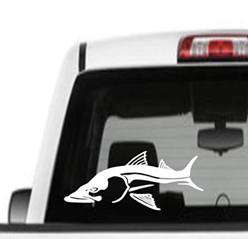Amazon.com: Snook vinyl sticker car truck boat jets ski water sports ...