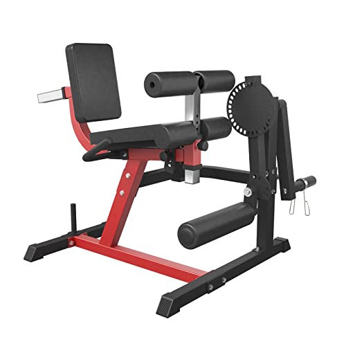 Top 10 Leg Extension Curl Machine of 2022 - Katynel