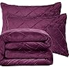 Amazon.com: PHF Pleated Velvet Comforter Set Queen, 3PCS Ultra Soft ...