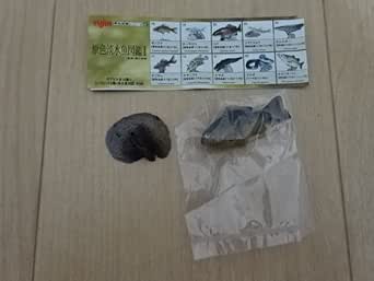 Amazon | 原色淡水魚図鑑 Ⅱ ギンブナ 彩色台座 フィギュア ユージン ガシャポン 原色図鑑シリーズ フィギュア 銀鮒 ...