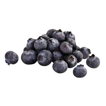 Amazon.com: Organic Fresh Florida Blueberries 18 Oz : Grocery & Gourmet ...