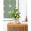 Amazon.com: AceList Fake Lemon Tree for Lemon Decor, 23 Inches Nearly ...
