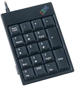 Amazon.com: Micro Innovations 09N5547 Numeric Access II Keypad (USB ...