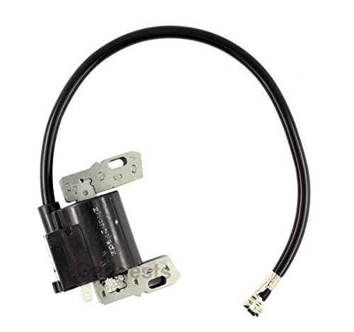 Bobina de encendido – Briggs & Stratton – 398593: Amazon.es: Jardín