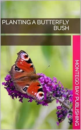 Amazon.com: Planting A Butterfly Bush (Growing Flowers) eBook ...