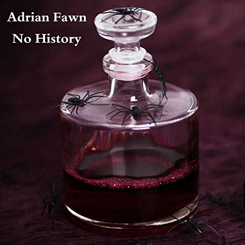 Amazon.com: No History : Adrian Fawn: Digital Music
