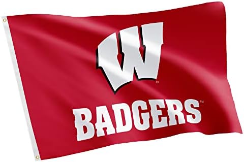 Amazon.com : Desert Cactus University of Wisconsin Flag Badgers UW ...