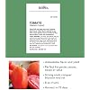 Amazon.com : Burpee 'Gladiator',25 Non-GMO Seeds, Hybrid Red Slicing ...