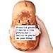 Amazon.com: PullCrease Funny Big Cute Potato Plush 5.3 Inch Kawaii ...