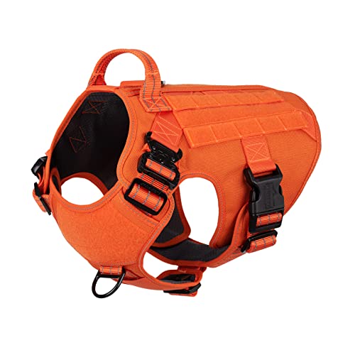 Stand Out with Safety: Top 10 Orange Dog Vests for Your Furry Friend ...