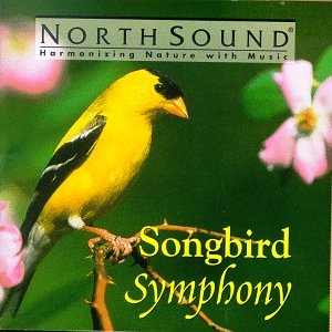 Songbird Symphony: Songbird Symphony: Amazon.es: CD y vinilos}