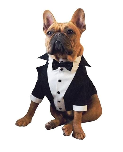 Dog Tuxedo Dress Dog Suit or Tuxedo Dogs Wedding Party Suit Wedding Bow ...