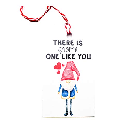 Amazon.com: Valentine's Day Tag, Gnome Theme, There is Gnome One Like ...