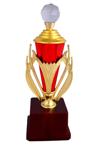 Trophy Cup for Sport Tournaments, Competitions (B) : Amazon.in: Sports ...
