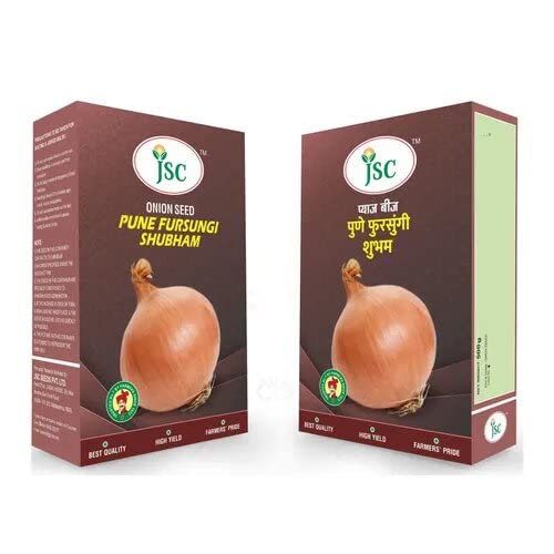 DHRUVI AGROTECH-Hybrid Subham Onion Seed 500gm (Pack Of 3) : Amazon.in ...