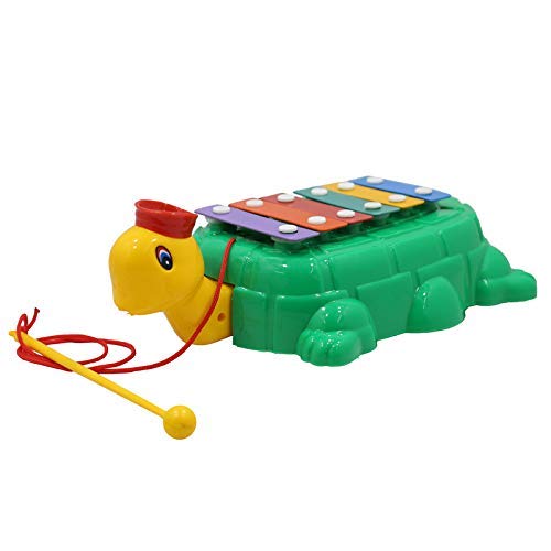 Buy Mahvi Toys Pull Along Turtle Tortoise Toy with Xylophone Attached ...