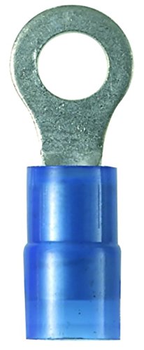 Progress Lighting P5565-31 Med Hanging Lantern, 1-100-watt