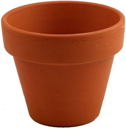 Amazon.com: Hirt's Gardens 5-6" Clay Pots - Great for Plants and Crafts ...
