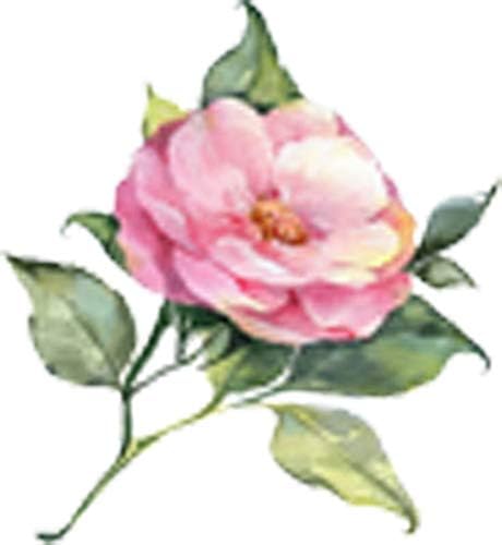 Amazon.com - Beautiful Watercolor Pink Rose Bush Flower Art Vinyl Decal ...