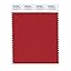 PANTONE Smart 18-1663X Color Swatch Card, Chinese Red - House Paint ...