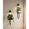 Amazon.com : Leaf&lull Wall Plant Holder Plant Stand with Lights Wall ...
