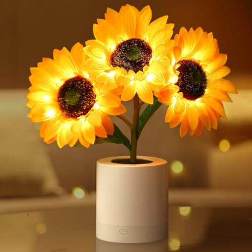 Amazon Best Sellers: Best Night-Lights