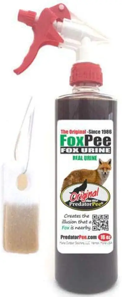Do Foxes Spray? Unraveling The Mystery Behind Fox Scent Marking | PetShun