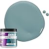 Amazon.com: Beyond Paint All-in-One Refinishing Paint, No Sanding ...