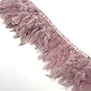 Amazon.com: Shekyeon Turkey Feathers Fringe Trim for Party Clothing DIY ...