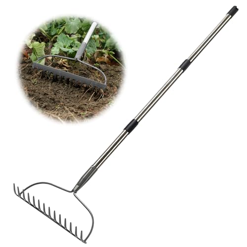 Top 10 Best Rake For Raking Grass : Reviews & Buying Guide - Katynel