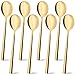Amazon.com: HANSGO 8PCS Stainless Steel Spoons, Soup Spoons Dinner ...