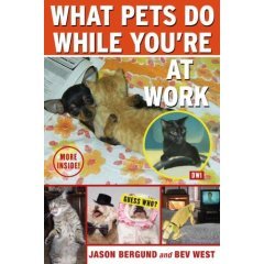 What Pets Do While You're At Work - | 9780739490136 | Amazon.com.au | Books