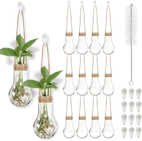 Amazon.com: 10 Pcs Window Propagation Stations Plant Propagation Tubes ...